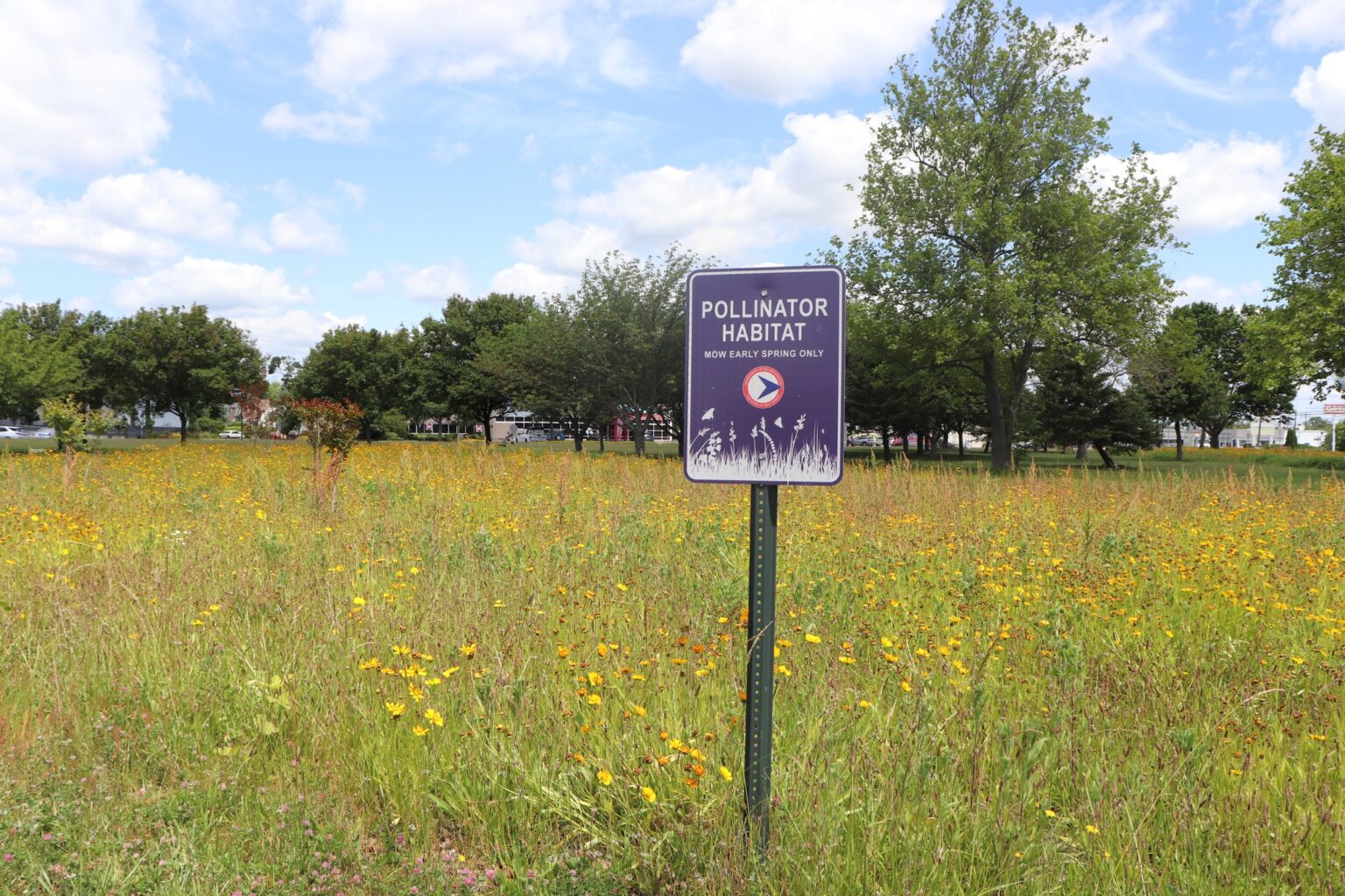 Wildlife Corridors and Crossings in NJ's Road Network: A Conversation with NJDEP & NJDOT - NJDOT ...